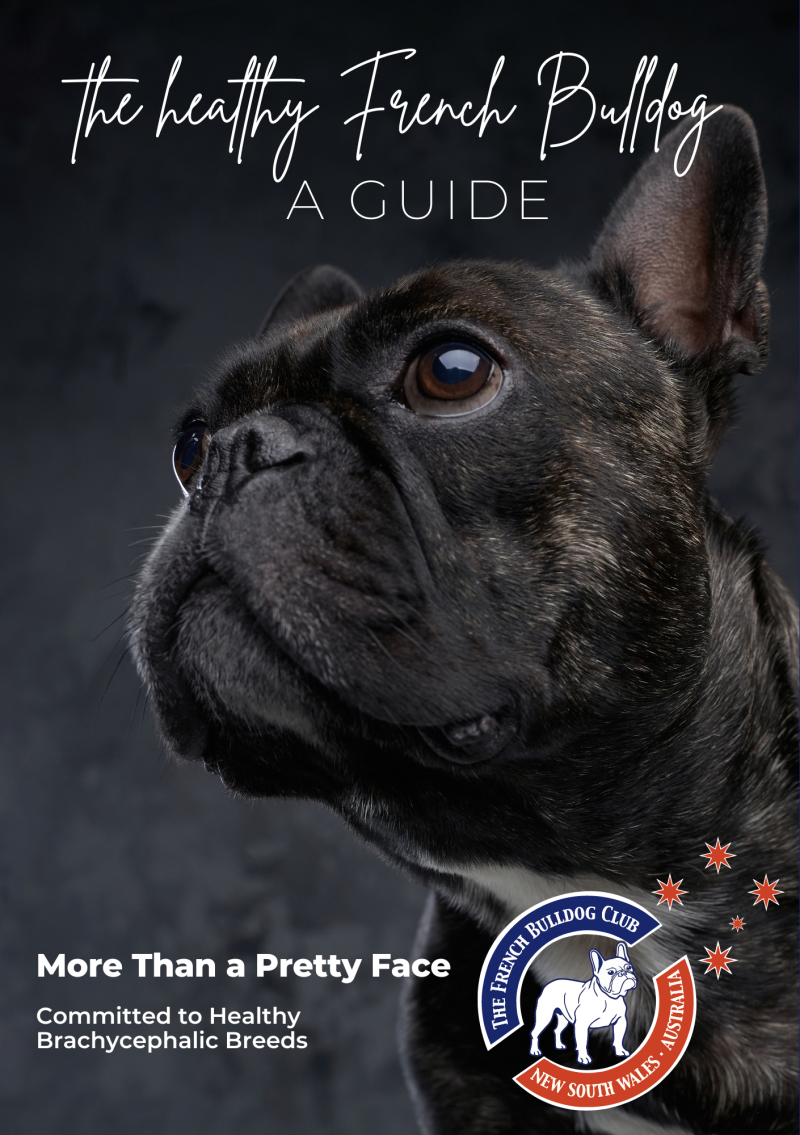 Health Scheme – The French Bulldog Club of NSW Official Site